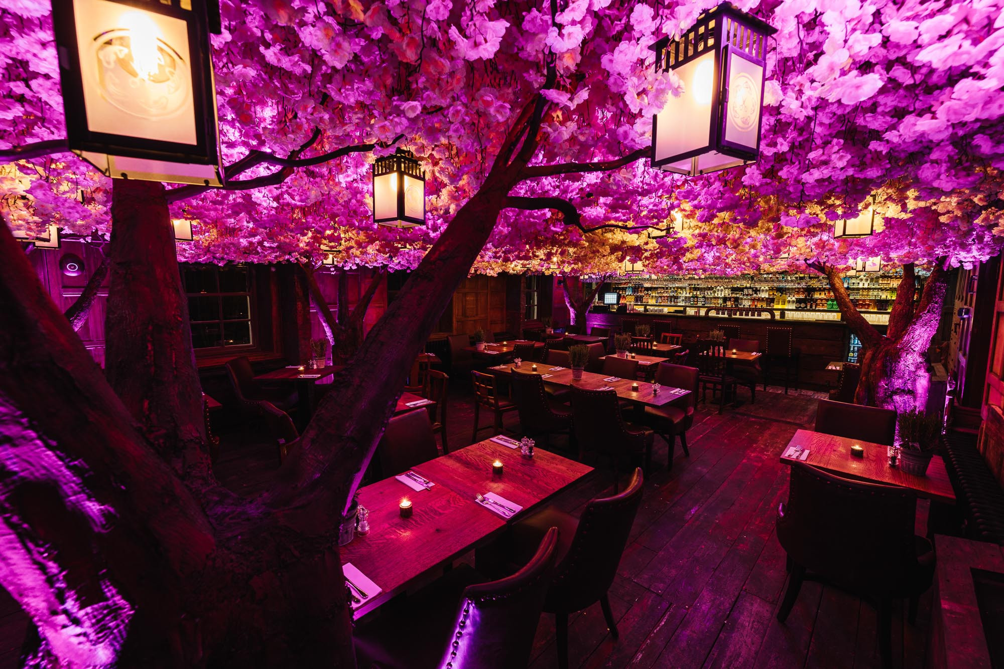 Gallery | The Hunloke Arms at Wingerworth