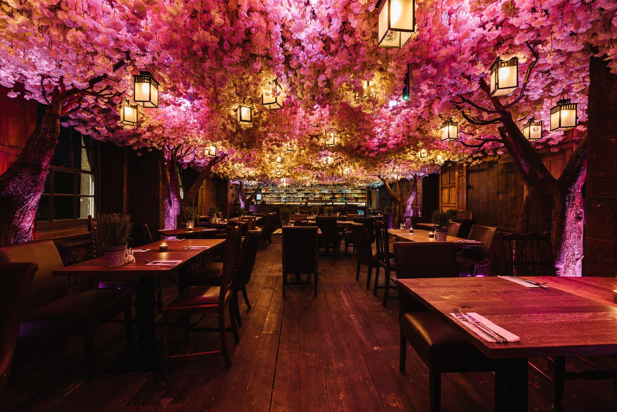 Gallery | The Hunloke Arms at Wingerworth