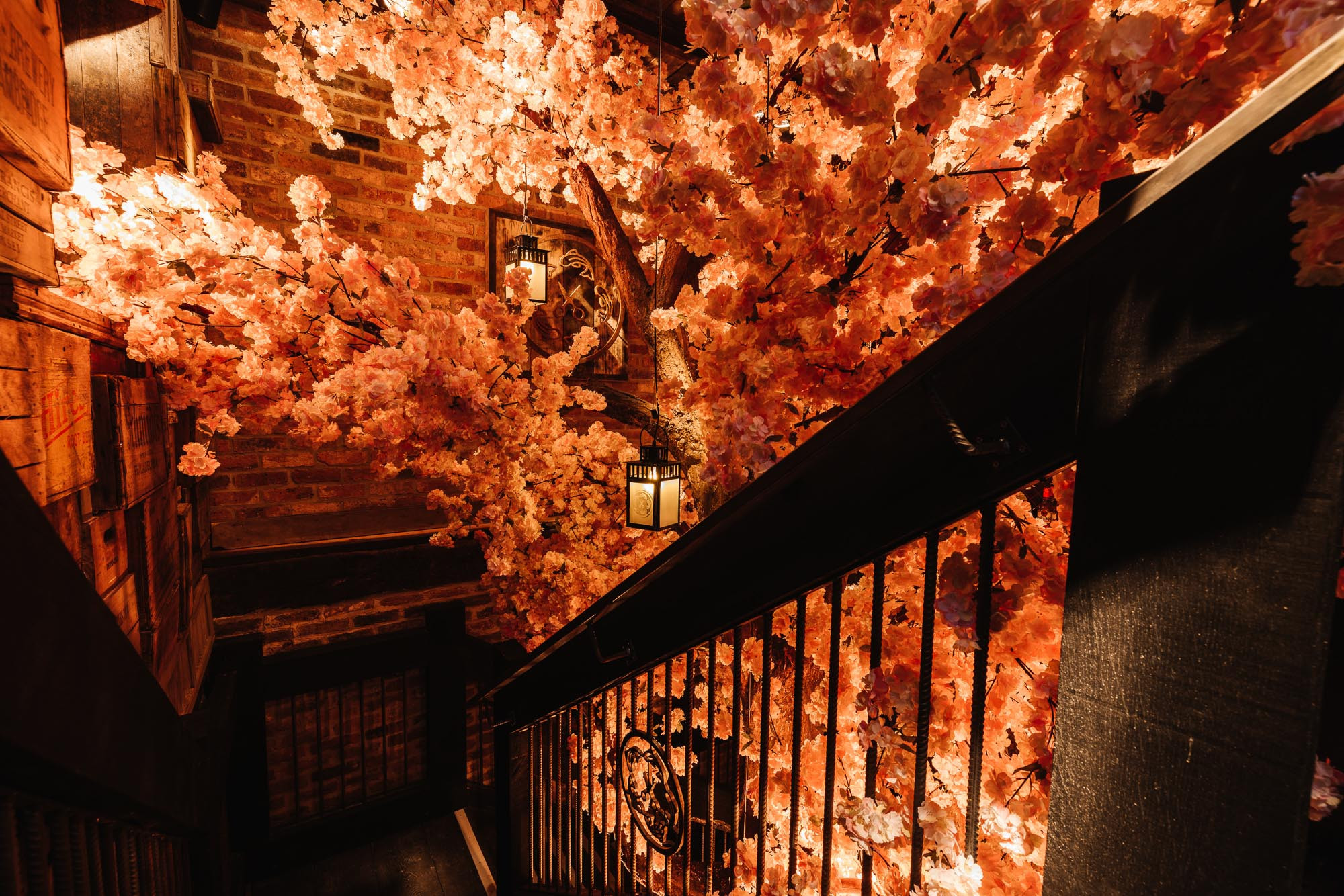 Gallery | The Hunloke Arms at Wingerworth